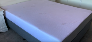 Ergoflex 5G Mattress (Memory Foam) - Long-Term Review